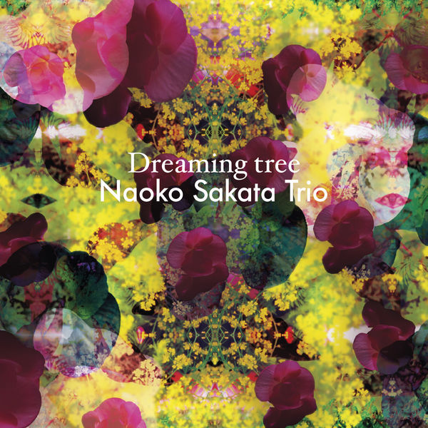 Dreaming Tree, Naoko Sakata Trio - Qobuz