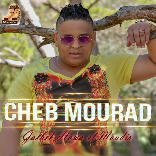 Album Galbek Howa El Moudir de Cheb Mourad | Qobuz : téléchargez et ...