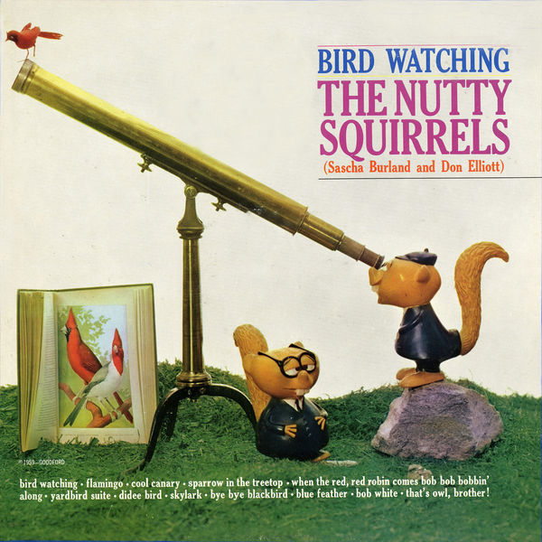 Bird Watching, The Nutty Squirrels - Qobuz