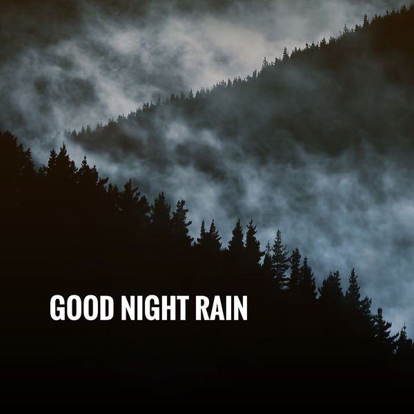 Good Night Rain, Nature Sounds - Qobuz