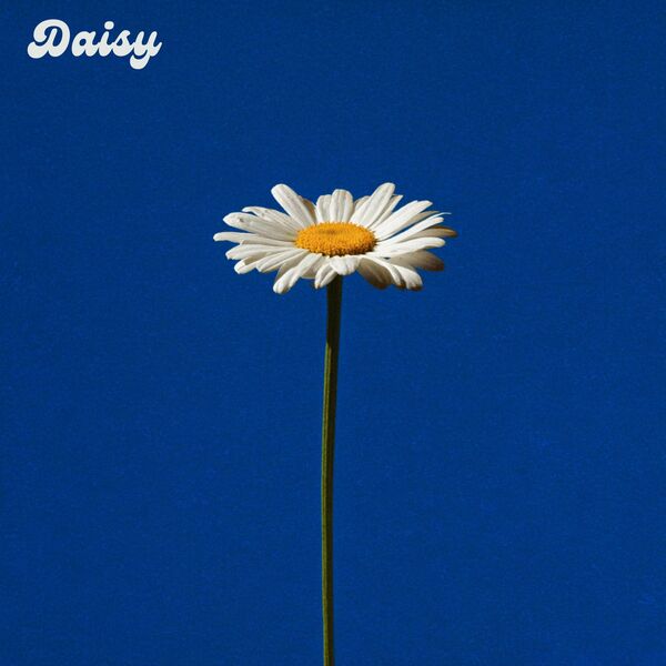 Daisy, Delorians - Qobuz
