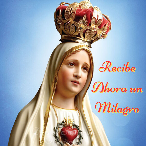 Oración a Nuestra Madre la Virgen María para que nos Conceda un Milagro ...