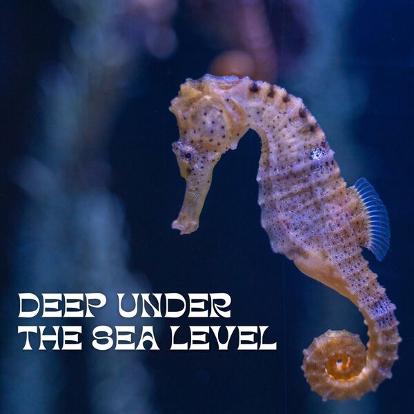 Deep Under the Sea Level, Underwater Sounds Channel - Qobuz