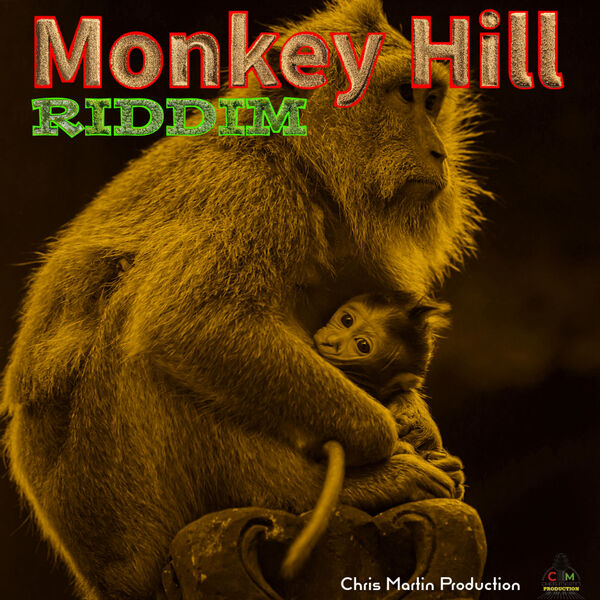 MONKEY HILL RIDDIM, Christopher Martin - Qobuz