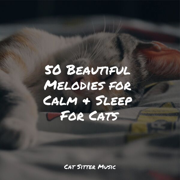 50 Beautiful Melodies for Calm & Sleep For Cats, Cat Music - Qobuz