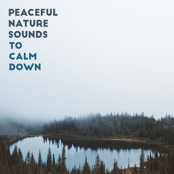 Album Peaceful Nature Sounds to Calm Down, Best Relaxation Music ...