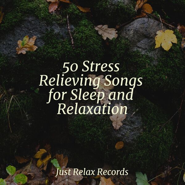 50 Stress Relieving Songs for Sleep and Relaxation, Kinderliedjes - Qobuz