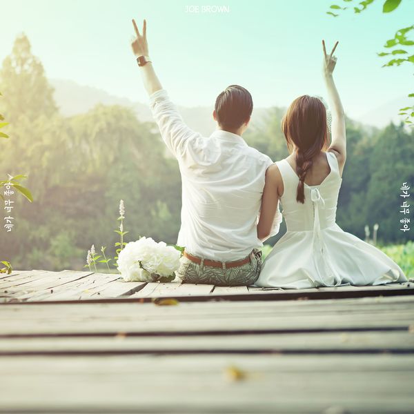 I Like You So Much, Joe Brown - Qobuz