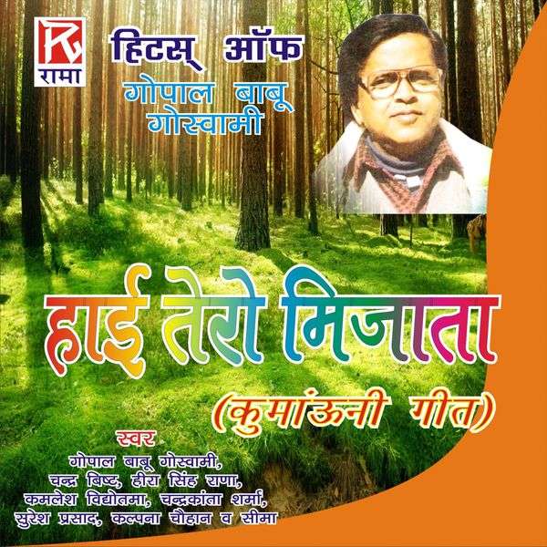 Hai Tero Mijata - Hits of Gopal Babu Goswami, Various Artists - Qobuz