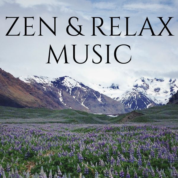 Zen & Relax Music, Various Composers por Ludwig van Beethoven - Qobuz