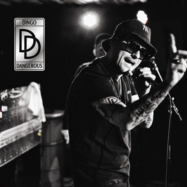 IKKE TENK PÅ DET, Dingo Dangerous - Qobuz