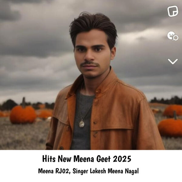 Hits New Meena Geet 2025, Meena RJ02 - Qobuz