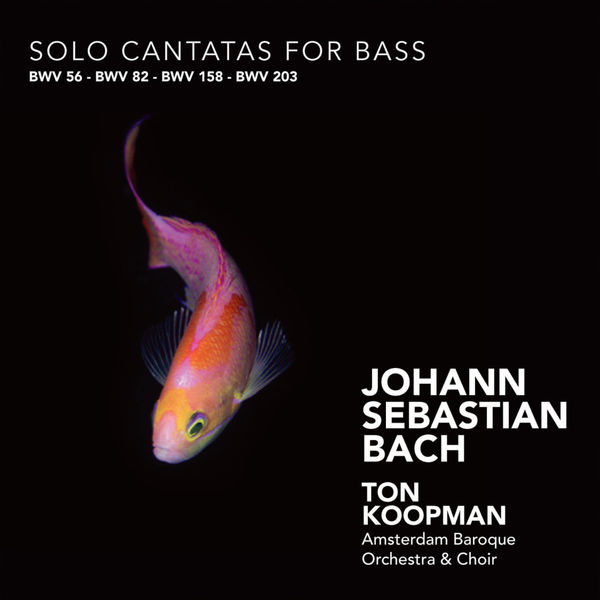 Bach: Solo Cantatas for Bass, Johann Sebastian Bach by Johann Sebastian ...