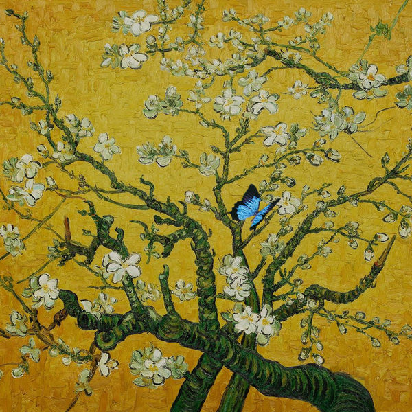 golden hour, Jvke - Qobuz