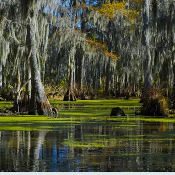 Up from the Deep, York Avenue Sound Factory - Qobuz