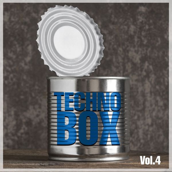 Techno Box, Vol. 4, Various Artists - Qobuz