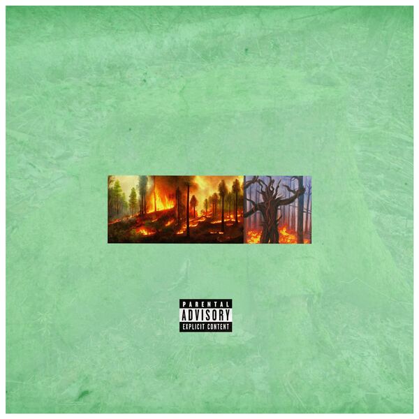 The Lost Tree Tape, Lil Tree Stump - Qobuz