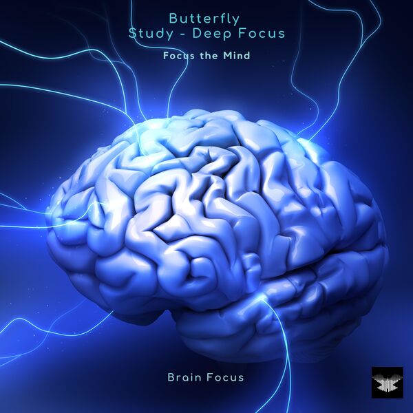 Brain Focus, Focus the Mind - Qobuz