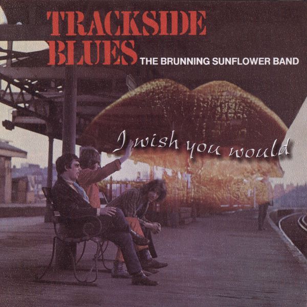 I Wish You Would (Trackside blues), The Brunning Sunflower Blues Band ...