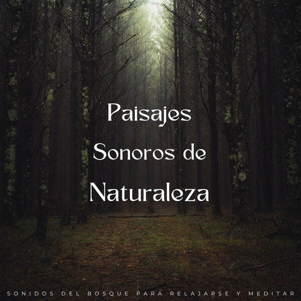 Paisajes Sonoros De Naturaleza: Sonidos Del Bosque Para Relajarse Y ...