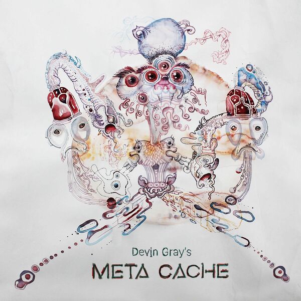 Meta Cache (feat. Kim Cass, Jeremy Viner & Elias Stemeseder), Devin Gray - Qobuz
