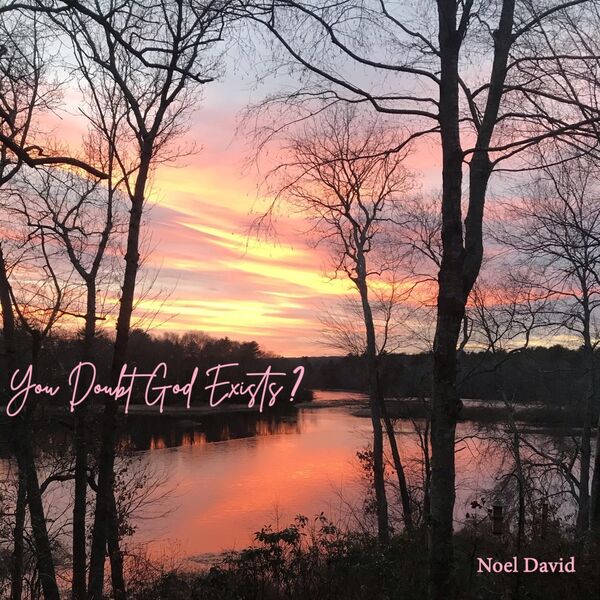 You Doubt God Exists?, David Noël - Qobuz