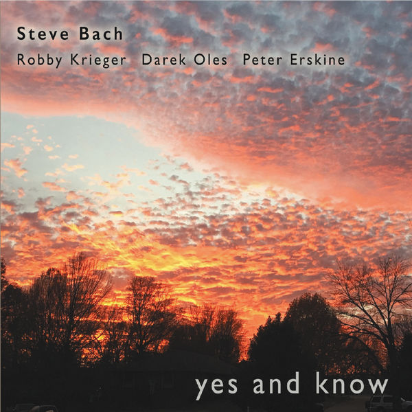 Yes and Know, Steve Bach - Qobuz