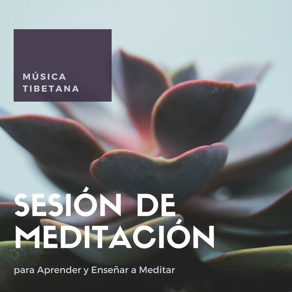 Sesión de Meditación: Música Tibetana para Aprender y Enseñar a Meditar ...