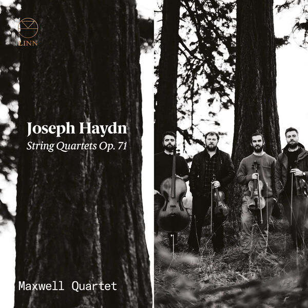 Haydn: String Quartets Op. 71, Maxwell Quartet - Qobuz