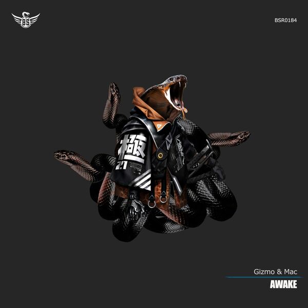 Awake, Gizmo & Mac - Qobuz