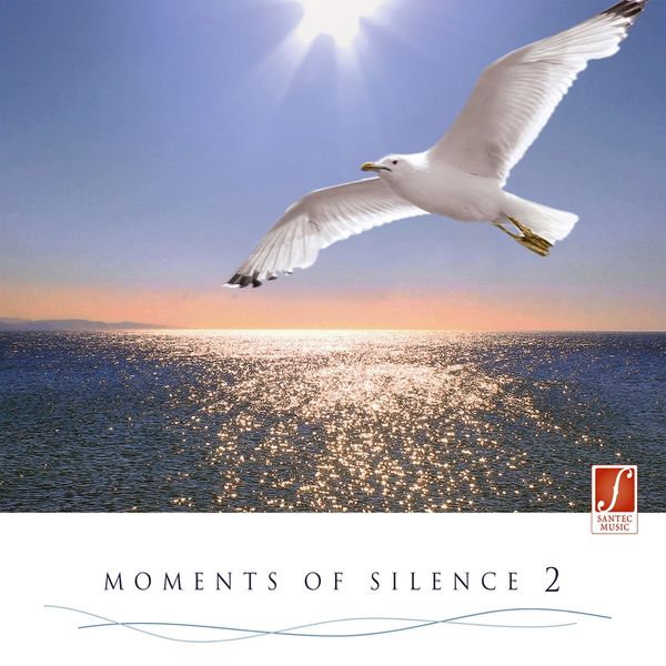 Moments of Silence, Vol. 2 (Vol. 2 of Our Most Popular Relaxation Music ...