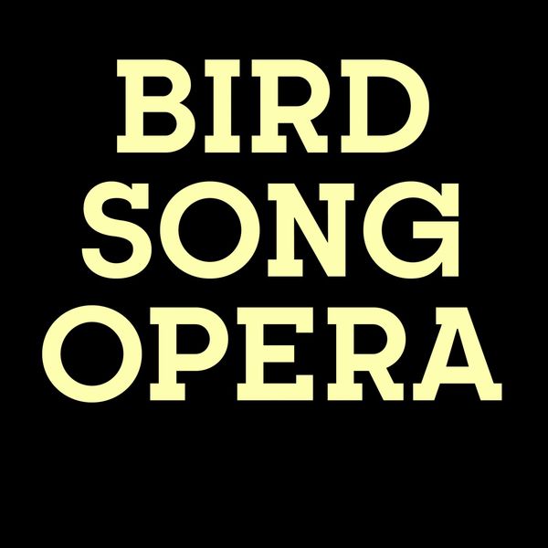 Bird Song Opera, Volker Pannes de Bird Orchestra - Qobuz