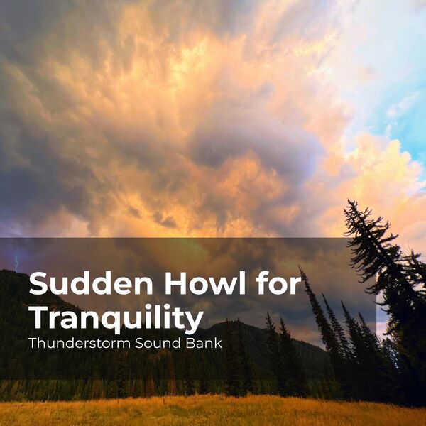 Sudden Howl for Tranquility, Thunderstorm Sound Bank - Qobuz