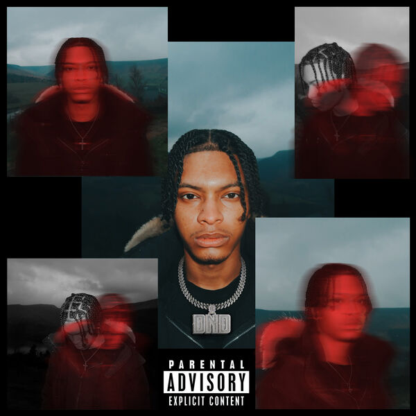 DO NOT DISTURB (DELUXE), Nemzzz - Qobuz