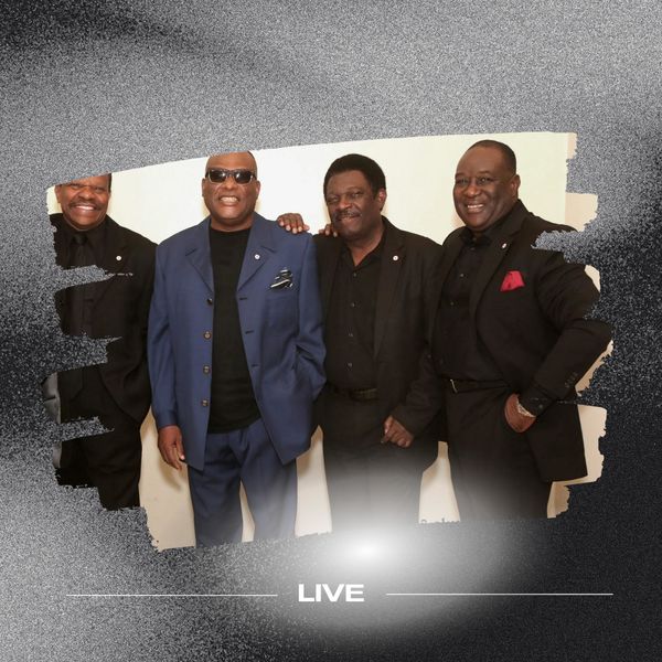 Mabouya (Le concert des 50 ans Zénith de Paris), Tabou Combo - Qobuz