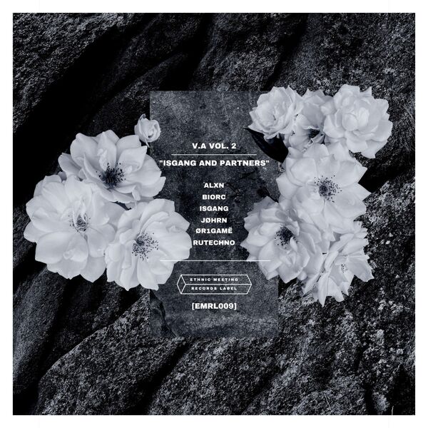 Isgang and Partners Various Artist, Vol. 2 (Various Artists), Alxn - Qobuz