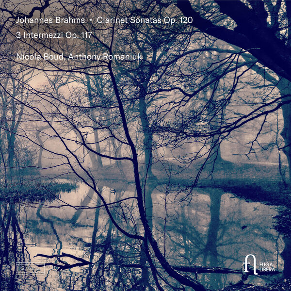Brahms: Clarinet Sonatas, Op. 120 & 3 Intermezzi, Op. 117, Nicola Boud ...