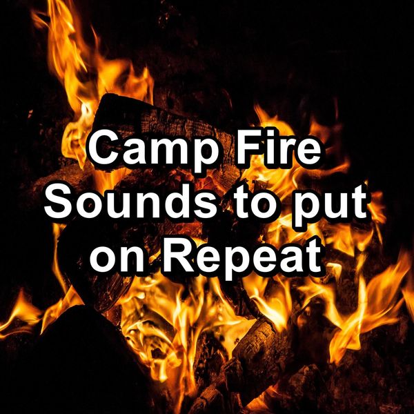 Camp Fire Sounds to put on Repeat, Paudio de Fire Sounds - Qobuz