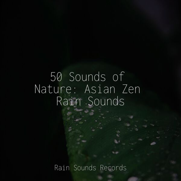 50 Sounds of Nature: Asian Zen Rain Sounds, Canción de Cuna - Qobuz
