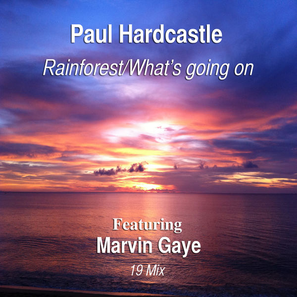 Rainforest/What's Going On (feat. Marvin Gaye) (19 Mix), Paul ...