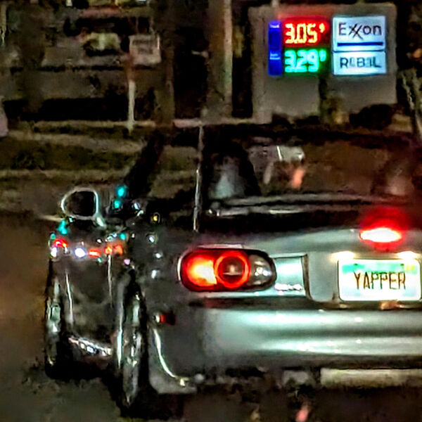 Bumblebee (trinity edit), ilytrinity - Qobuz