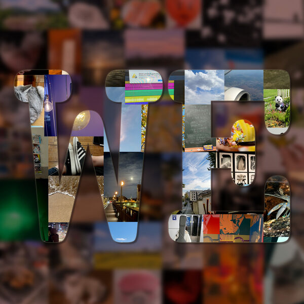 WE, Various Artists - Qobuz