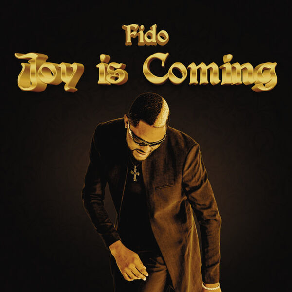 Joy Is Coming, Fido - Qobuz