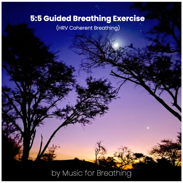 5:5 Guided Breathing Exercise (HRV Coherent Breathing), Music for ...