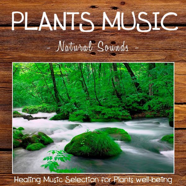 Plants Music: Nature Sounds (Healing Music Selection for Plants Well ...