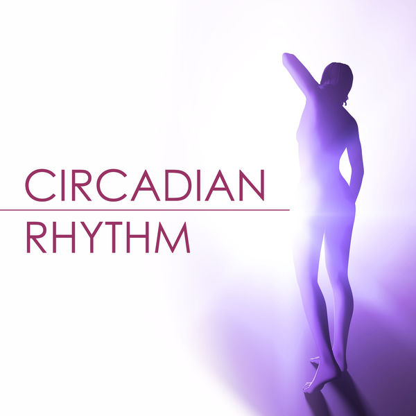 Circadian Rhythm - REM Sleep Cycle Deep Sleep Inducing Music, Sleeping ...