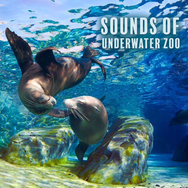 Sounds of Underwater Zoo (Relaxing, Soothing and Mysterious Deep Ocean ...