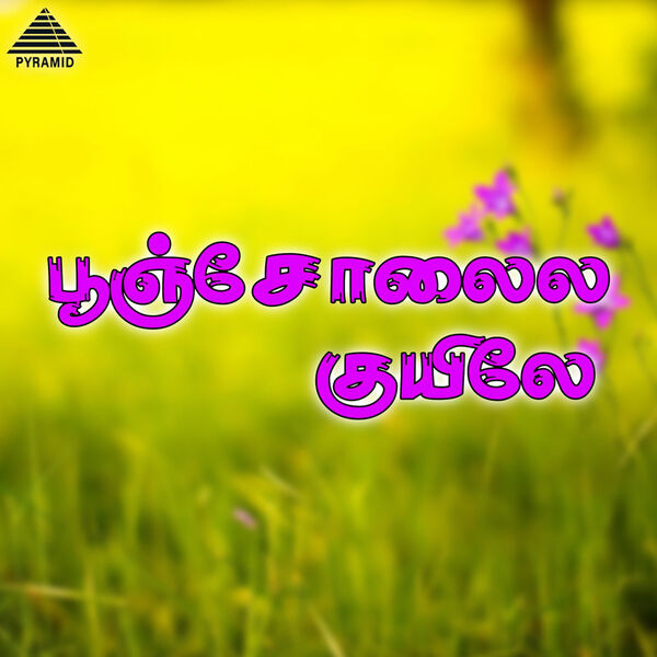 Poonjolai Kuyile (Original Motion Picture Soundtrack), Ambi Kailash - Qobuz