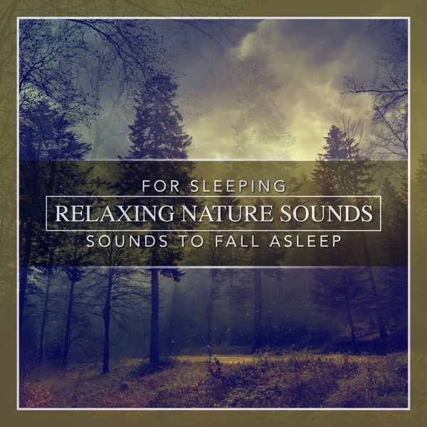 Hours of Relaxing Nature Sounds for Sleeping: Sounds to Fall Asleep ...
