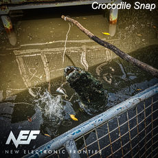 Crocodile Snap, New Electronic Frontier - Qobuz